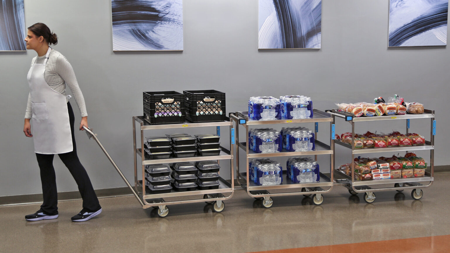 Push-Pull Utility Carts - Lakeside Foodservice